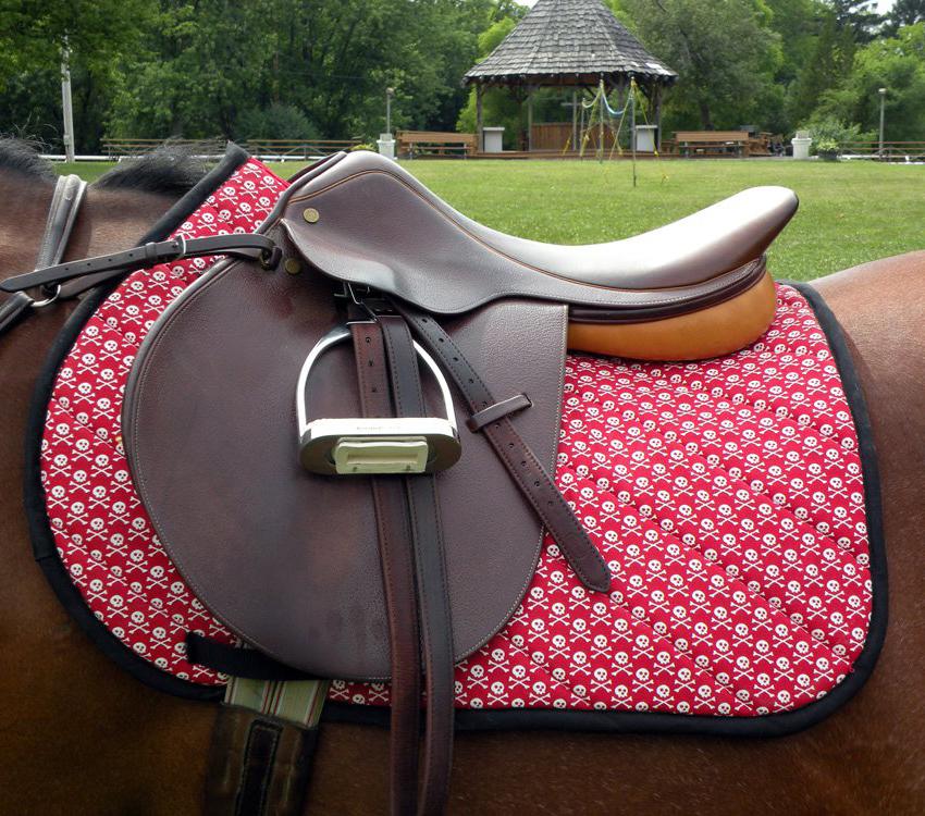 Turn Out for a Cause: Padded Ponies | HORSE NATION