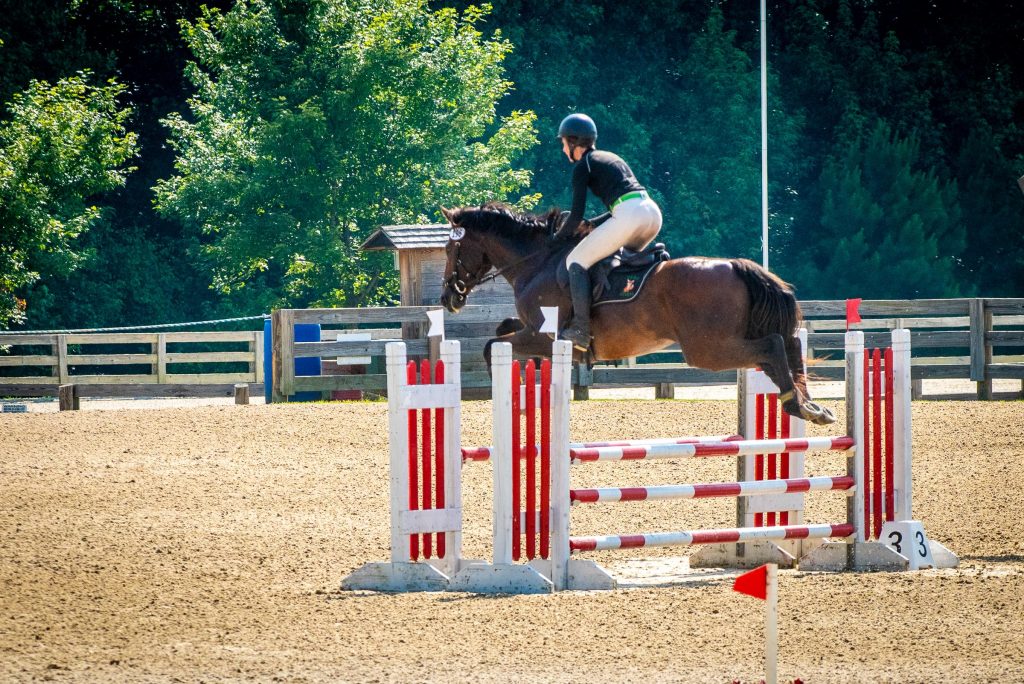 Thoroughbred Logic: 50 Shades of Green | HORSE NATION