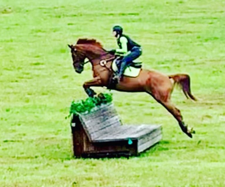 Thoroughbred Logic, Presented by OTTB United: Incremental but Effective ...