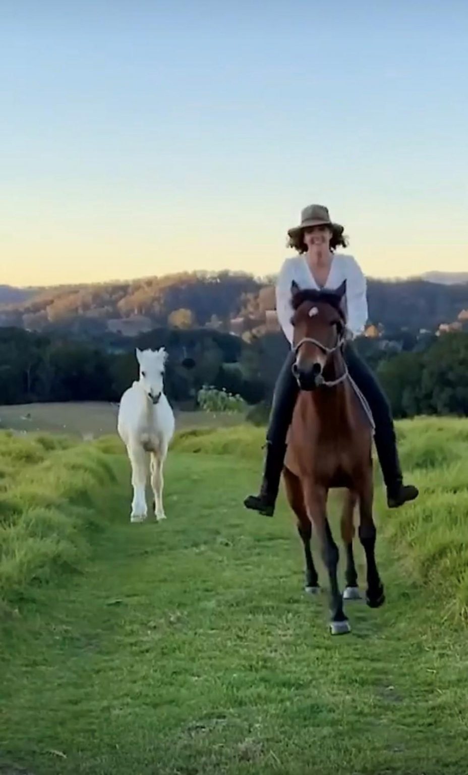 Kentucky Performance Products Tuesday Video: Collected Canter | HORSE ...