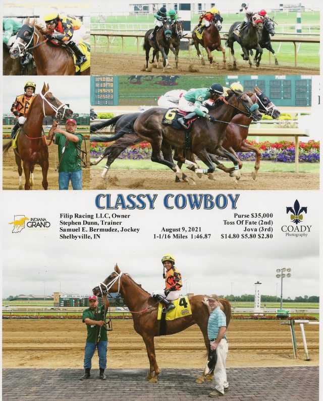 Thoroughbred Logic, Presented by OTTB United: What’s in a Name? | HORSE ...