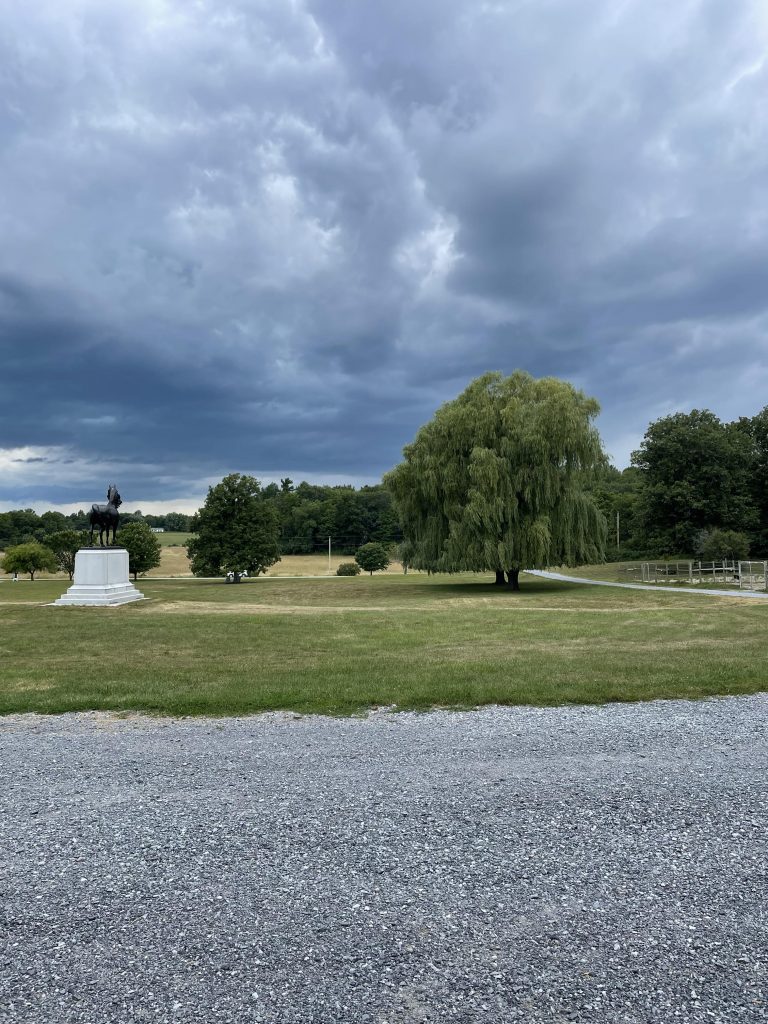 HN Blogger Contest Round Two: The UVM Morgan Horse Farm | HORSE NATION