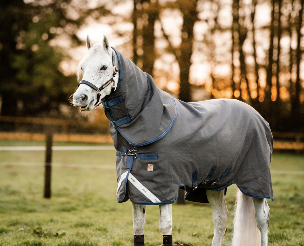 SmartPak Monday Morning Feed: 2022 Ultimate Blanketing & Clipping ...