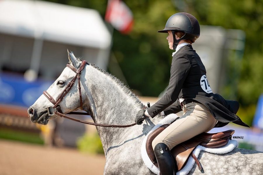 Beyond Soundness: Looking at the Bigger Picture of How My Pony Feels ...