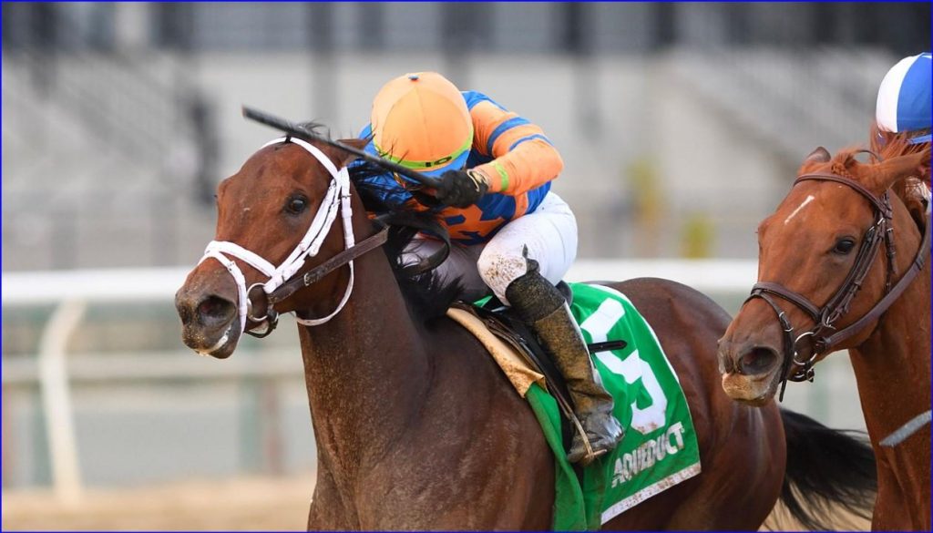 Sadler’s Flightline and Pletcher’s Malathaat & Nest Are Poised to ...