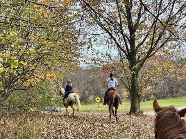 5 Reasons Why You Should Take New Riders Trail Riding | HORSE NATION