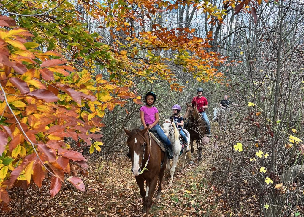 5 Reasons Why You Should Take New Riders Trail Riding | HORSE NATION