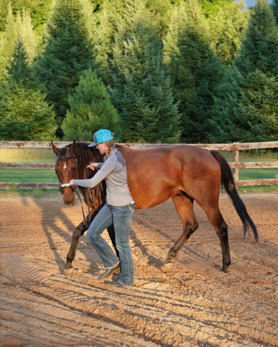 Why I Regret Putting My Horse Through Kissing Spines Surgery | HORSE NATION