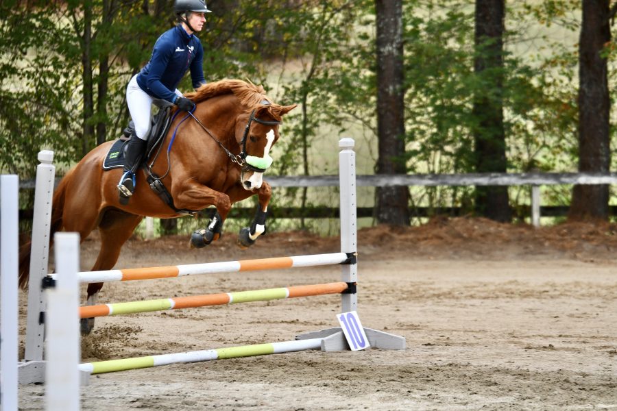 Thoroughbred Logic: Thankful for the Thoroughbred | HORSE NATION