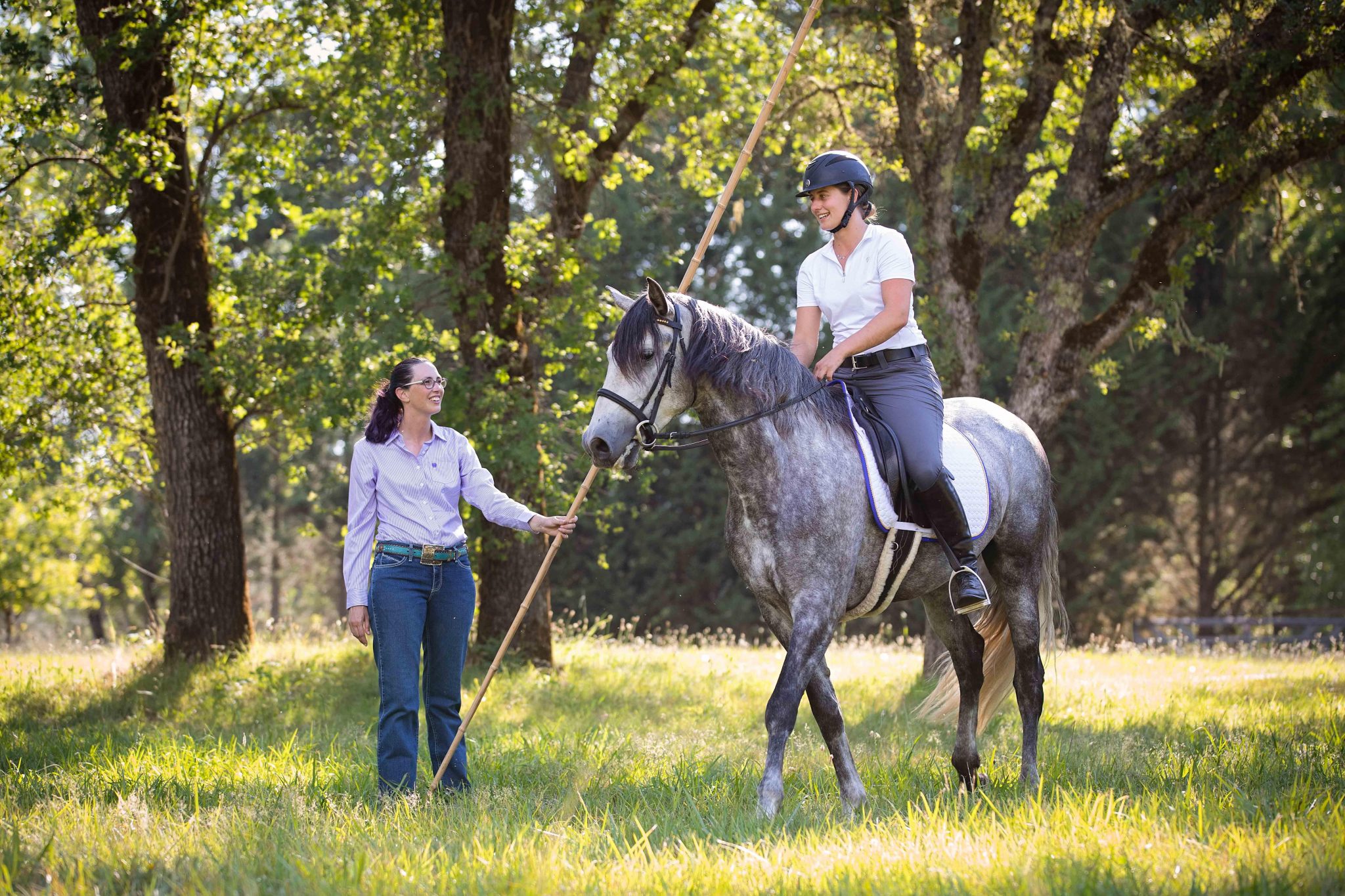 Patterns for the Weekend: The Garrocha Challenge | HORSE NATION
