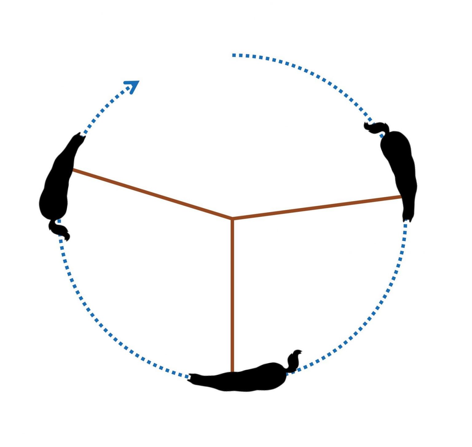 Patterns for the Weekend: The Garrocha Challenge | HORSE NATION
