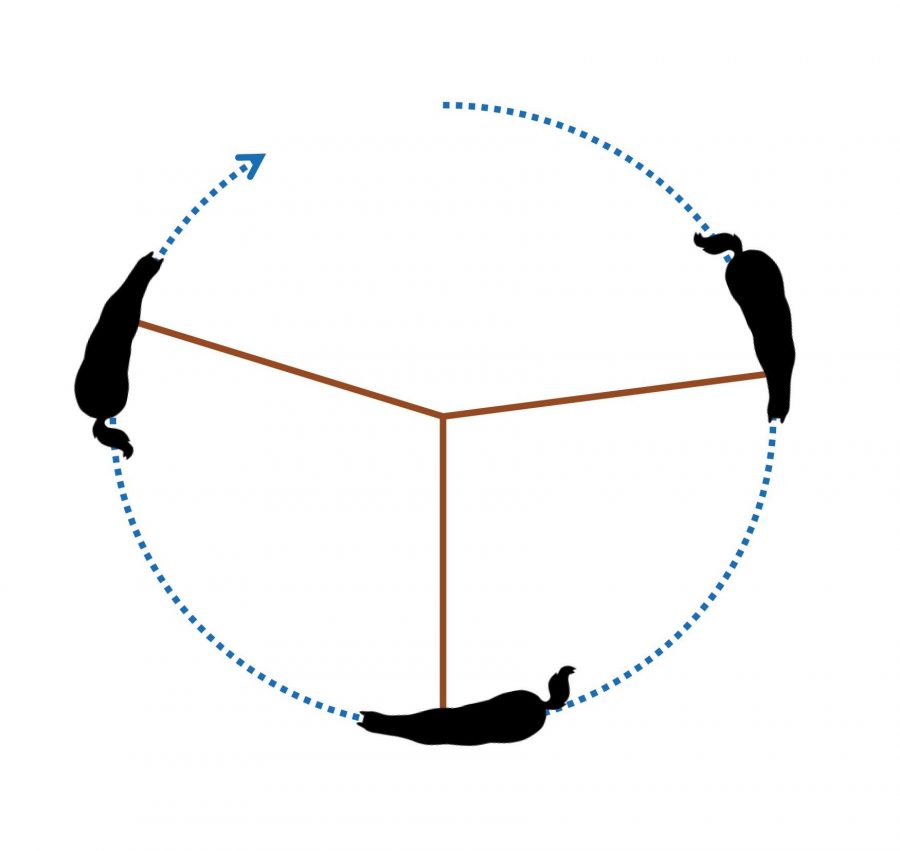 Patterns for the Weekend: The Garrocha Challenge | HORSE NATION