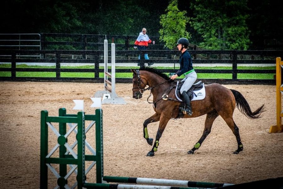 Thoroughbred Logic: In Front Of The Leg | HORSE NATION