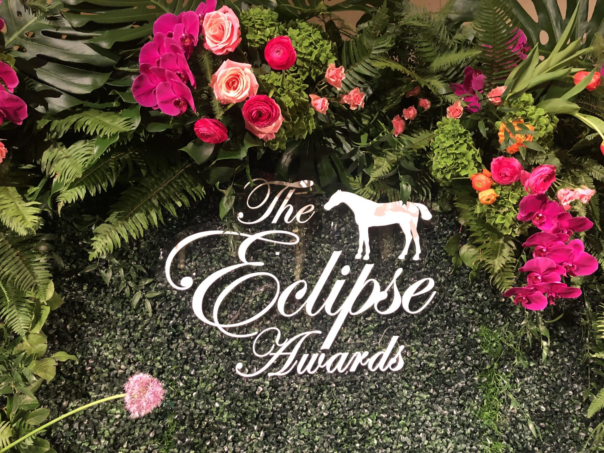 Pegasus World Championship Races and Eclipse Awards Fill Action Packed South Florida Weekend ...