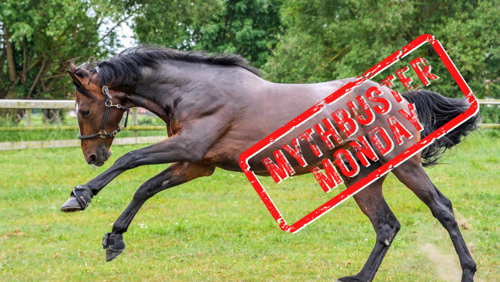 Mythbuster Monday: Testosterone Makes the Whooshing Sound When Male ...