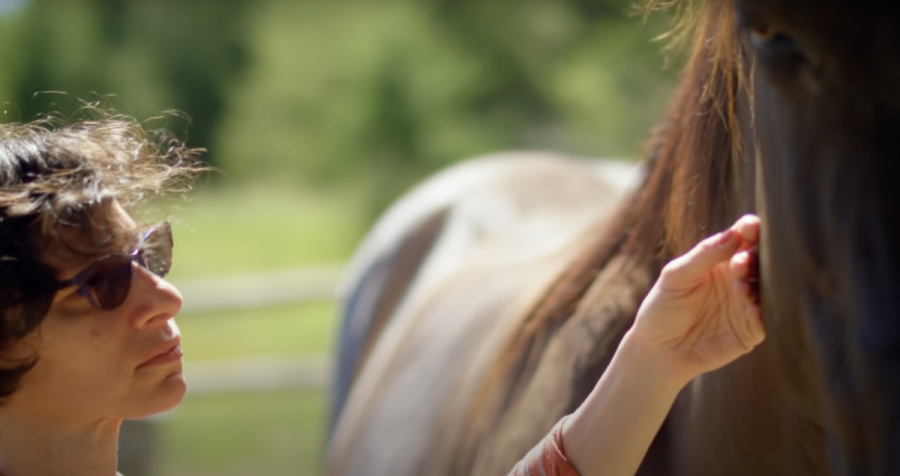 Thursday Video: The Healing Power of Horses, Writ Large | HORSE NATION