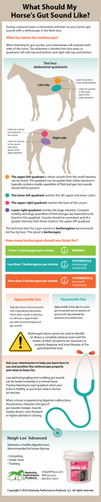 What Should My Horse’s Gut Sound Like? Presented by Kentucky ...