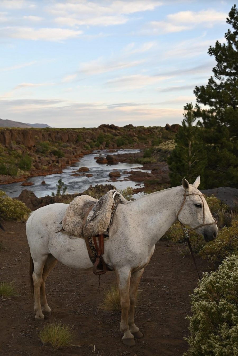 Horsing Around the World With Sanne Westera: Argentina | HORSE NATION
