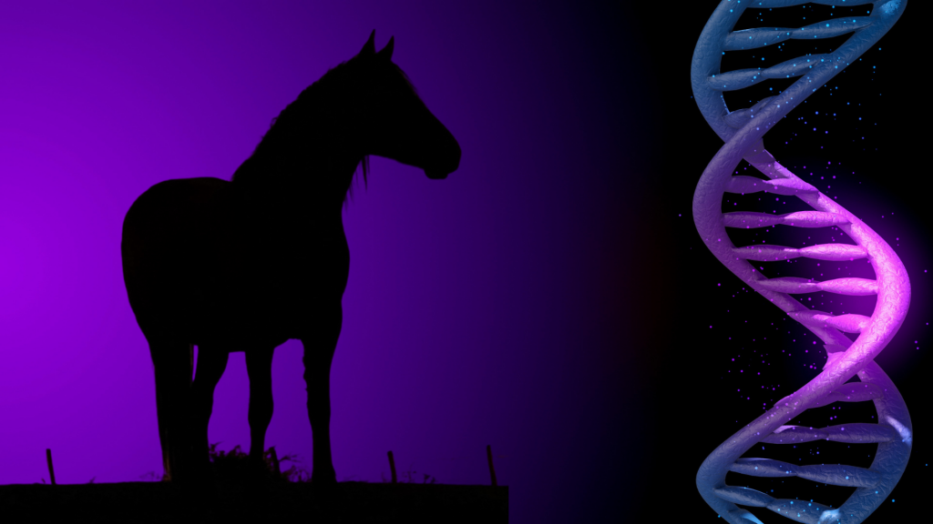 The DNA Match Case: A Pony Detective Story, Part III | HORSE NATION