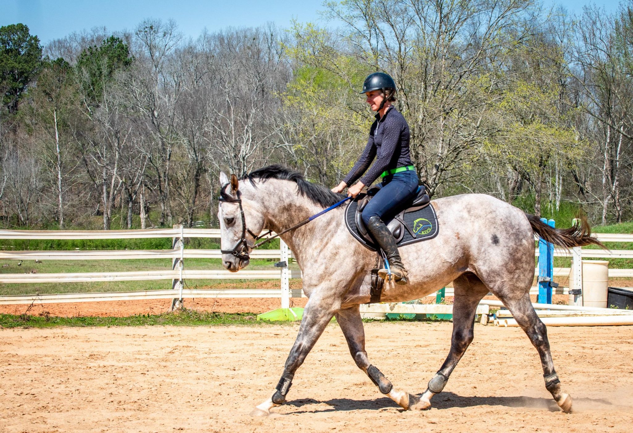 Thoroughbred Logic: Transitions & The Post | HORSE NATION