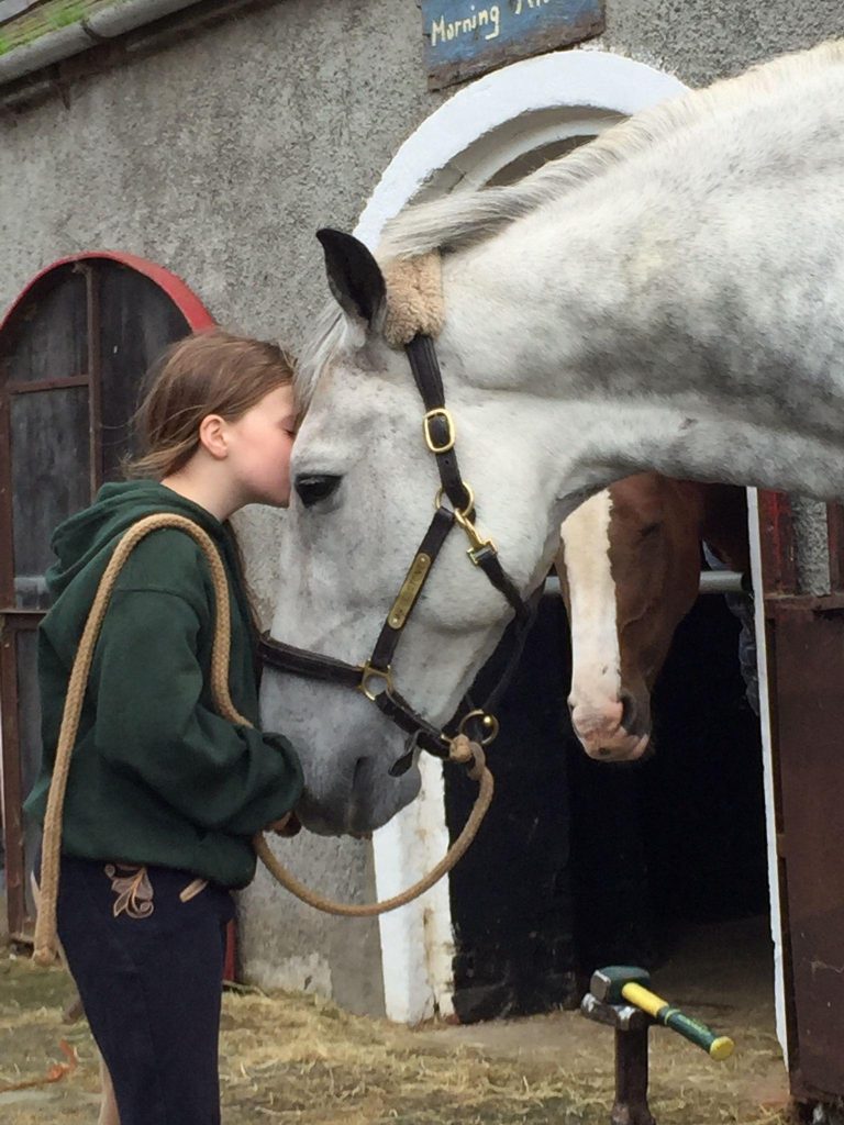 The Power of Patience: Waterstone, the One £ Champion | HORSE NATION