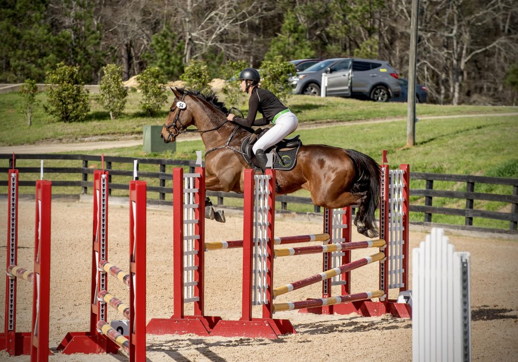 Thoroughbred Logic: Finding the Flow | HORSE NATION