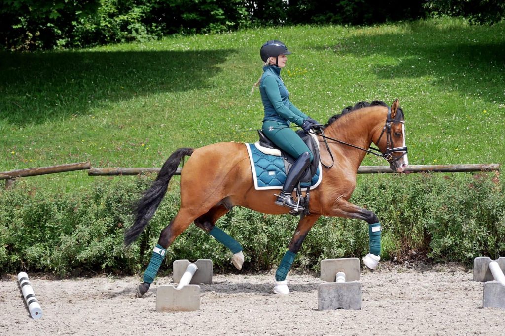 Patterns for the Weekend: Trot Poles on Bending Lines | HORSE NATION