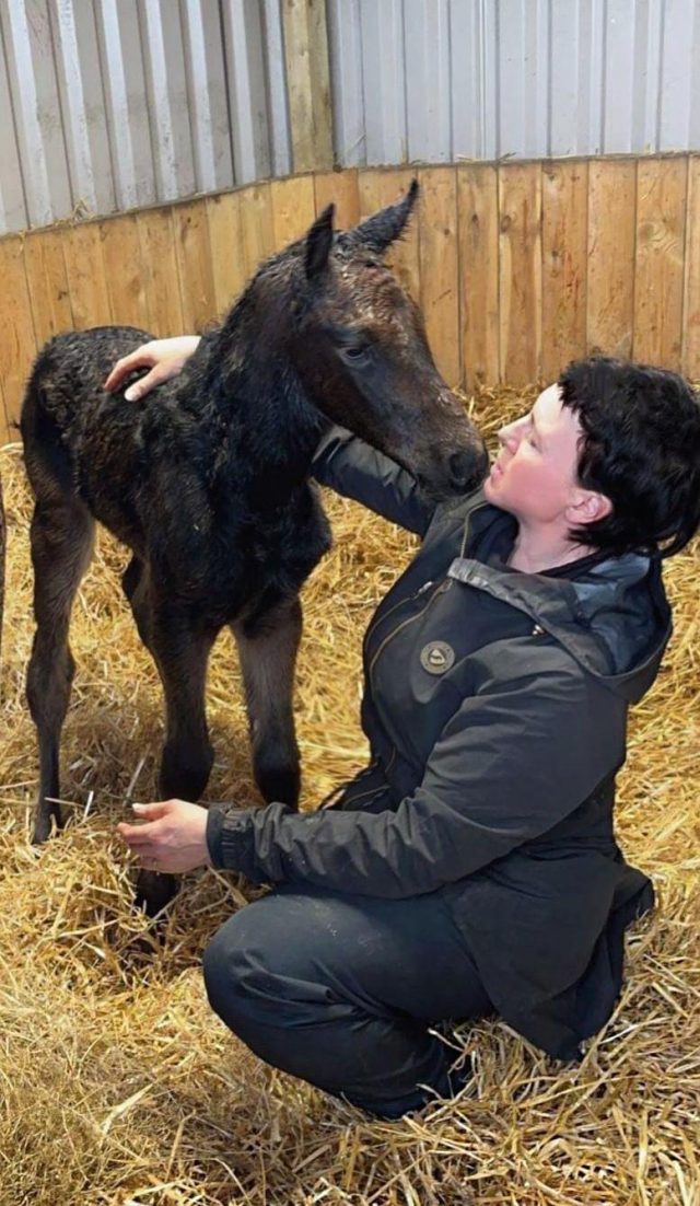 The Power of Patience: In Her Own Words | HORSE NATION