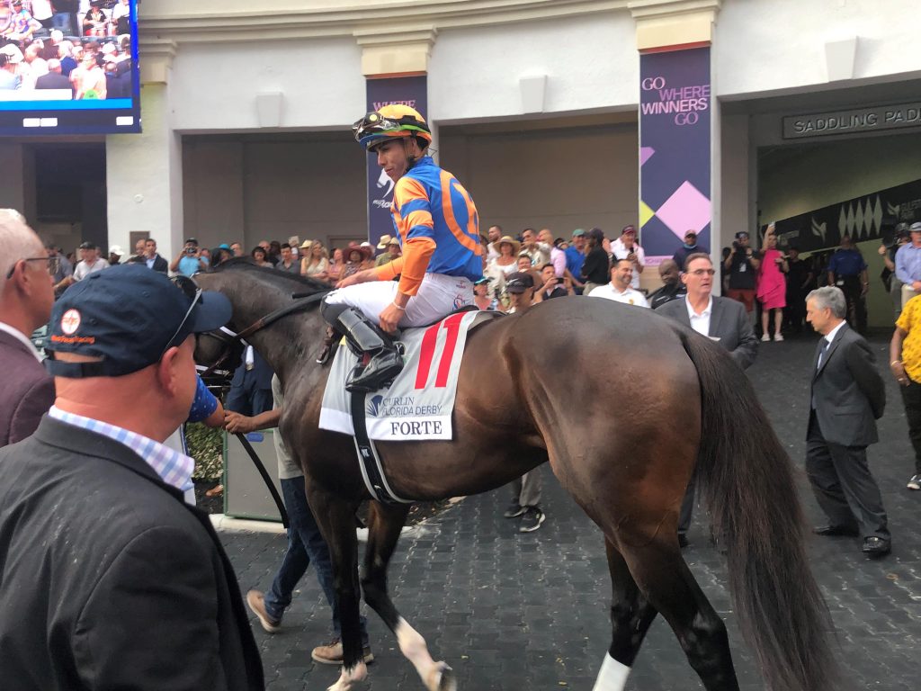 Forte Wins Florida Derby Earning Favorite Kentucky Derby Status | HORSE ...