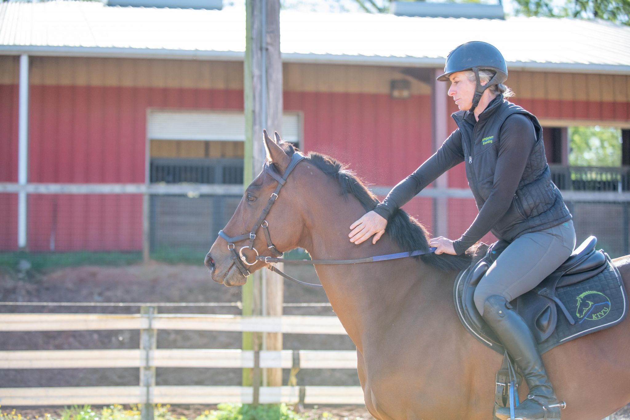 Thoroughbred Logic: Bungee Elbows for the Win | HORSE NATION