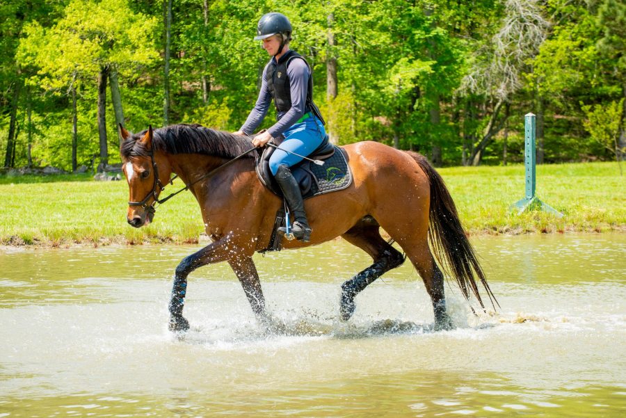 Thoroughbred Logic: Go Cross Country School | HORSE NATION