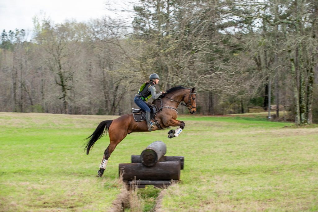 Thoroughbred Logic: Go Cross Country School | HORSE NATION