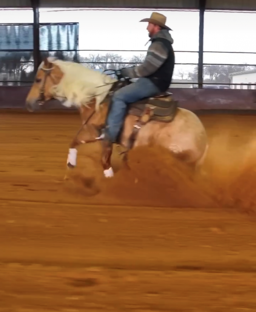 Kentucky Performance Products Tuesday Video: Sliding Stop | HORSE NATION