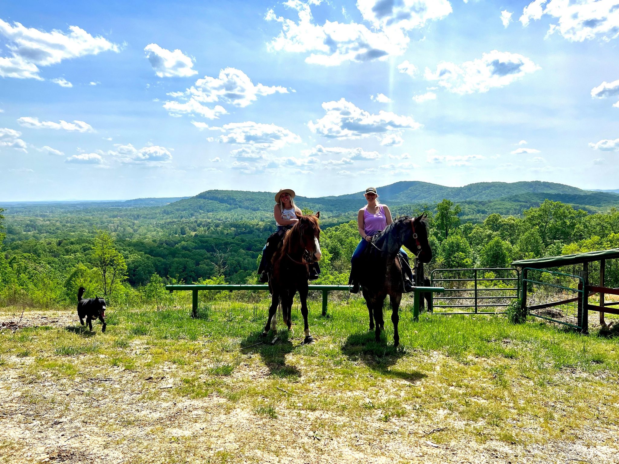 Hitting the Trails: Love Valley, North Carolina | HORSE NATION