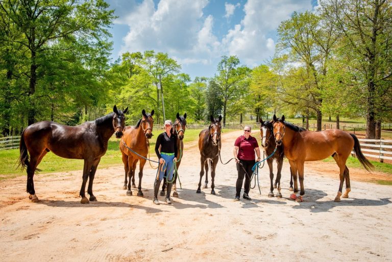 Thoroughbred Logic: The Art of Tying | HORSE NATION