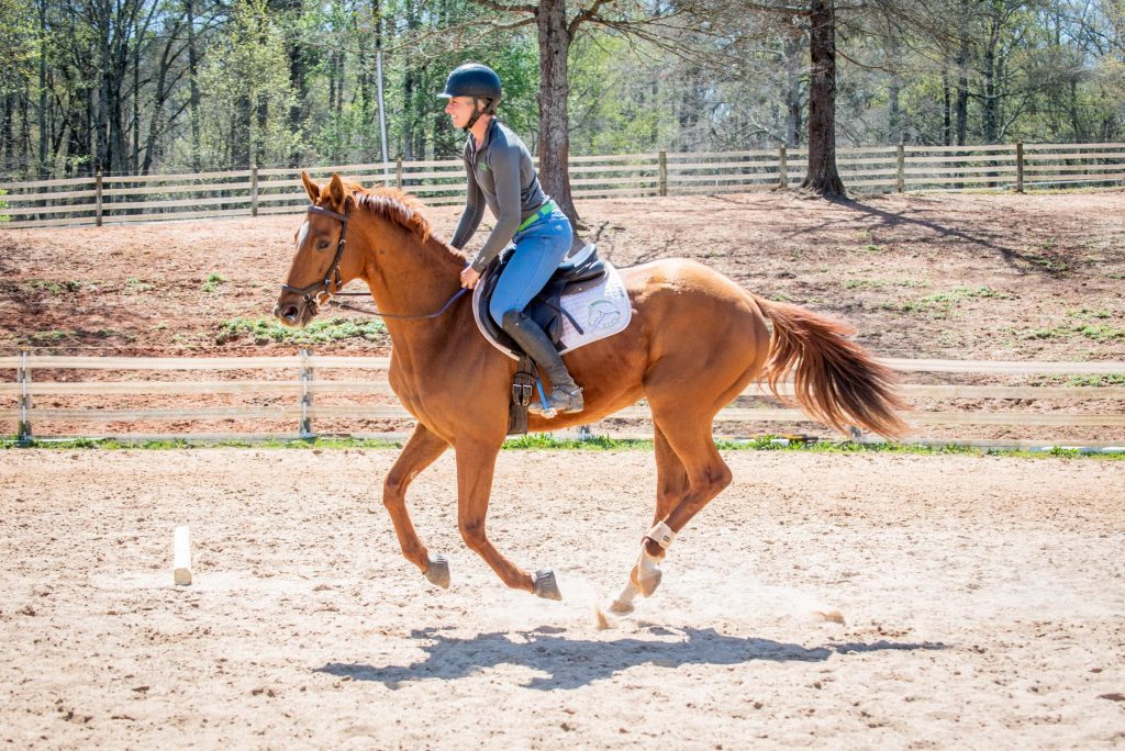 Thoroughbred Logic, Presented by Kentucky Performance Products: The ...