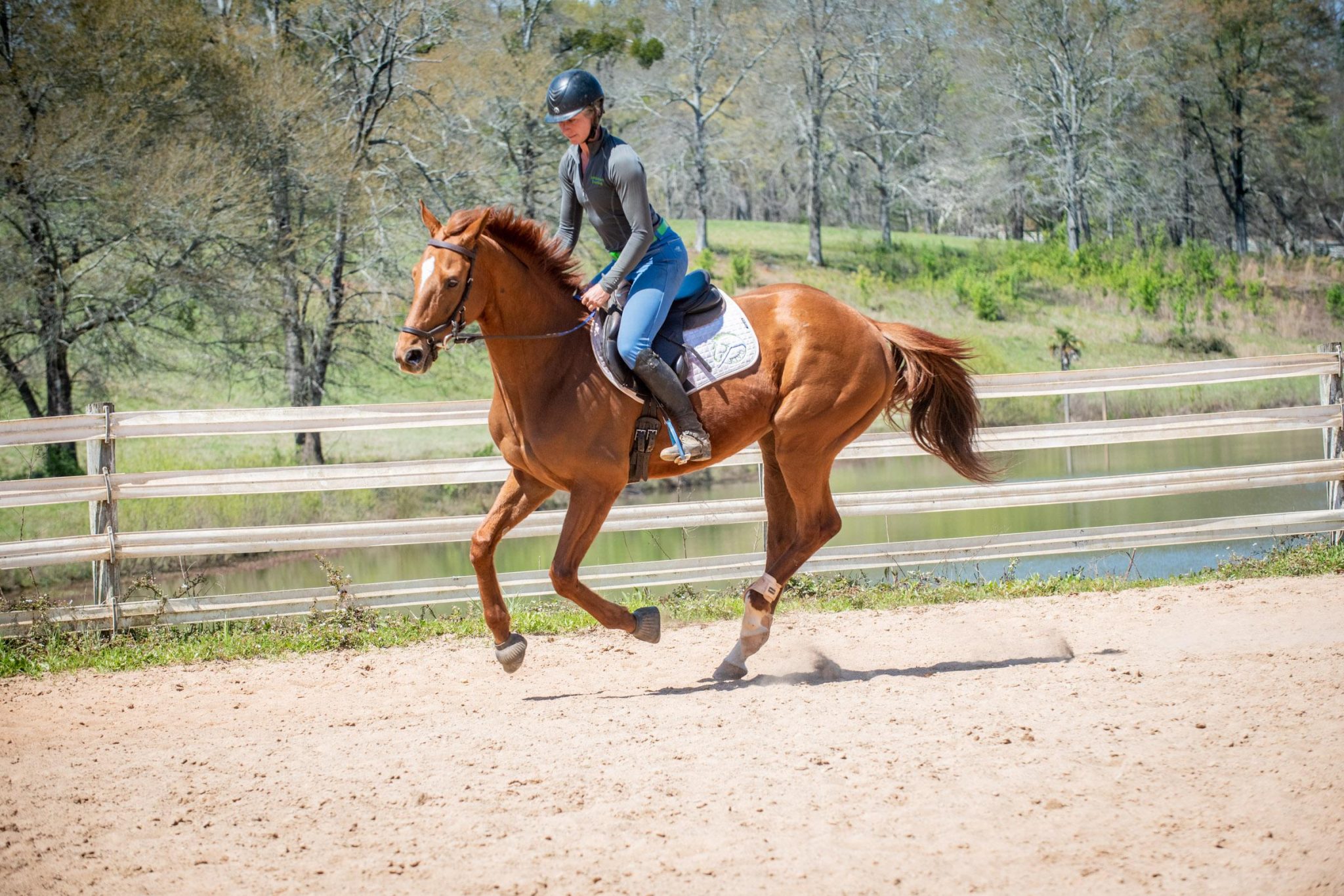 Thoroughbred Logic, Presented by Kentucky Performance Products: The ...