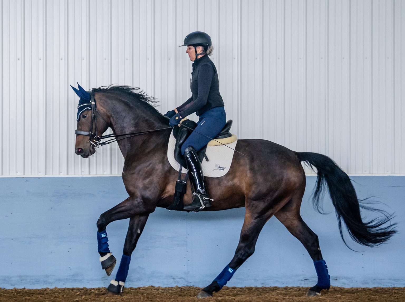 3 Common Warm-Up Problems Solved | HORSE NATION