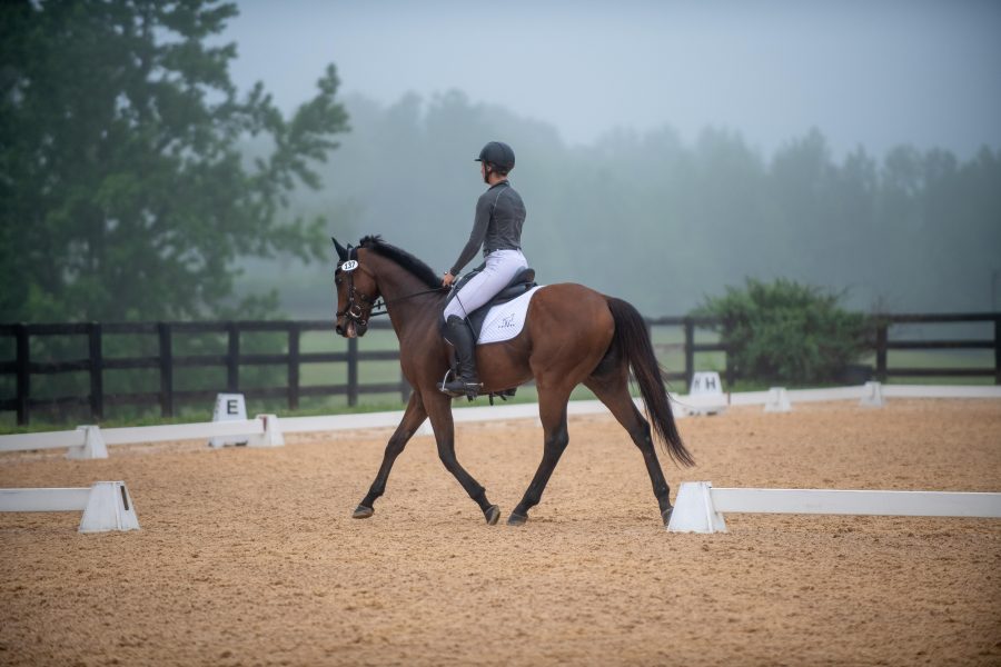 Thoroughbred Logic: Use Your Core | HORSE NATION