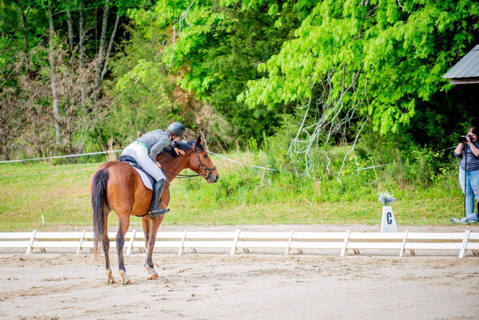 Thoroughbred Logic: How to Slow Down | HORSE NATION