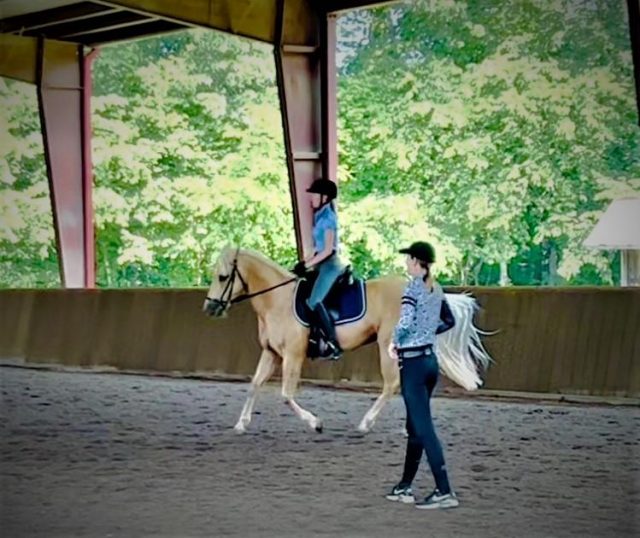 Amelia Newcomb Dressage: We’ve Got Legs | HORSE NATION