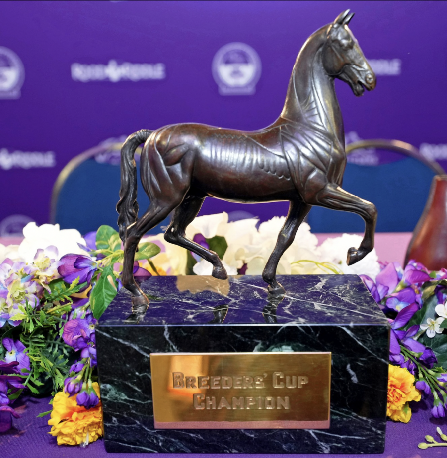 The 2023 Breeders’ Cup World Championships: A Showcase of Equine Excellence | HORSE NATION