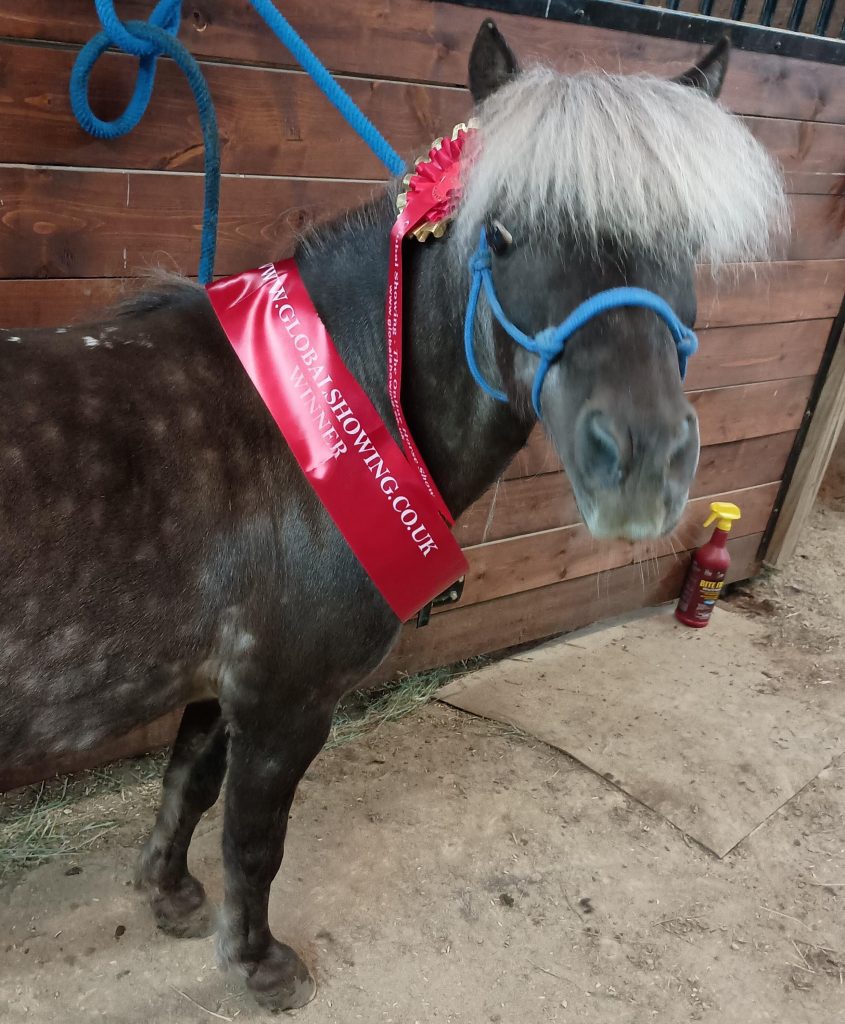 The Alien Apple Orchard Case: A Pony Detective Story — Part II | HORSE ...