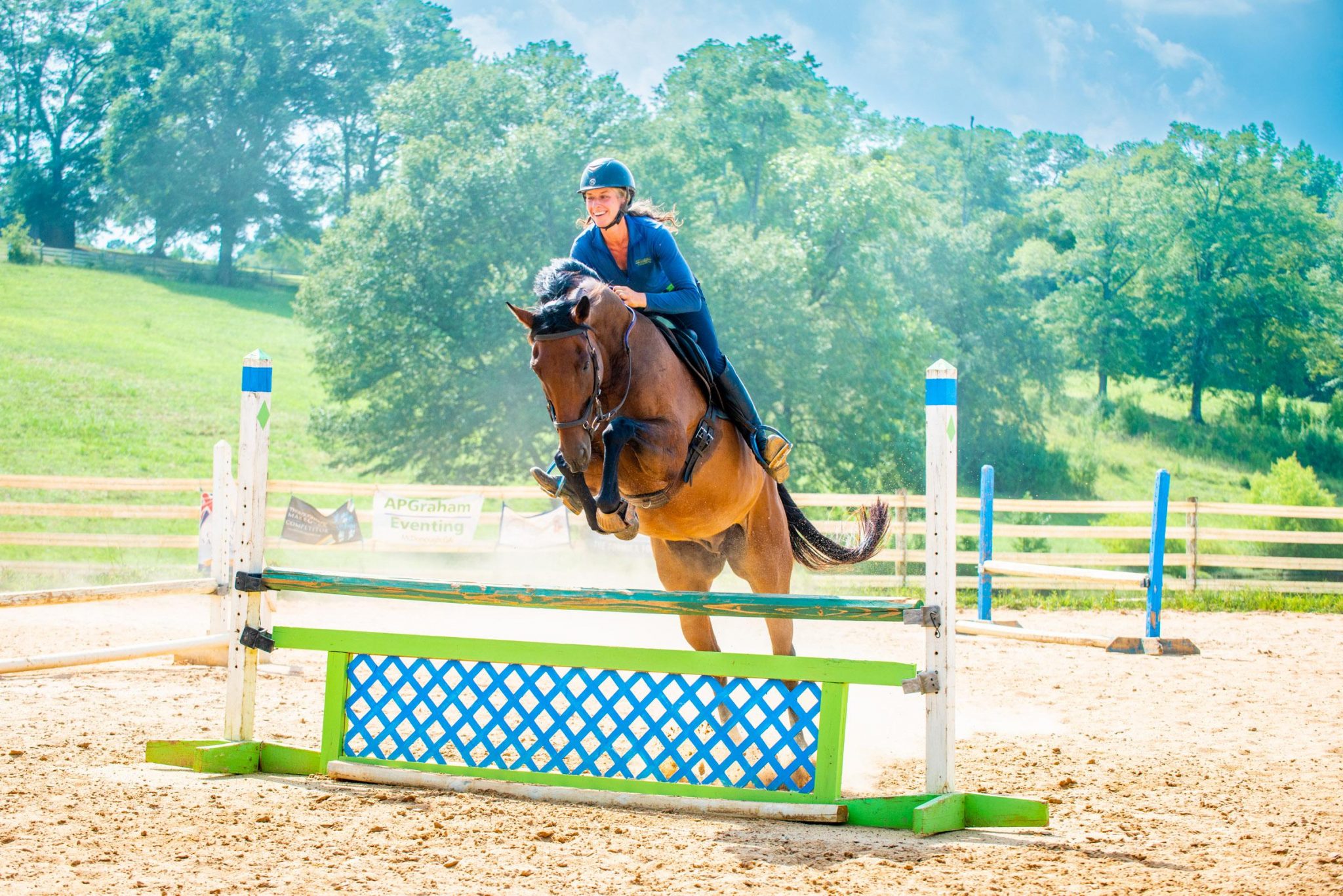 Thoroughbred Logic: Strategic Capitulation Welcome | HORSE NATION