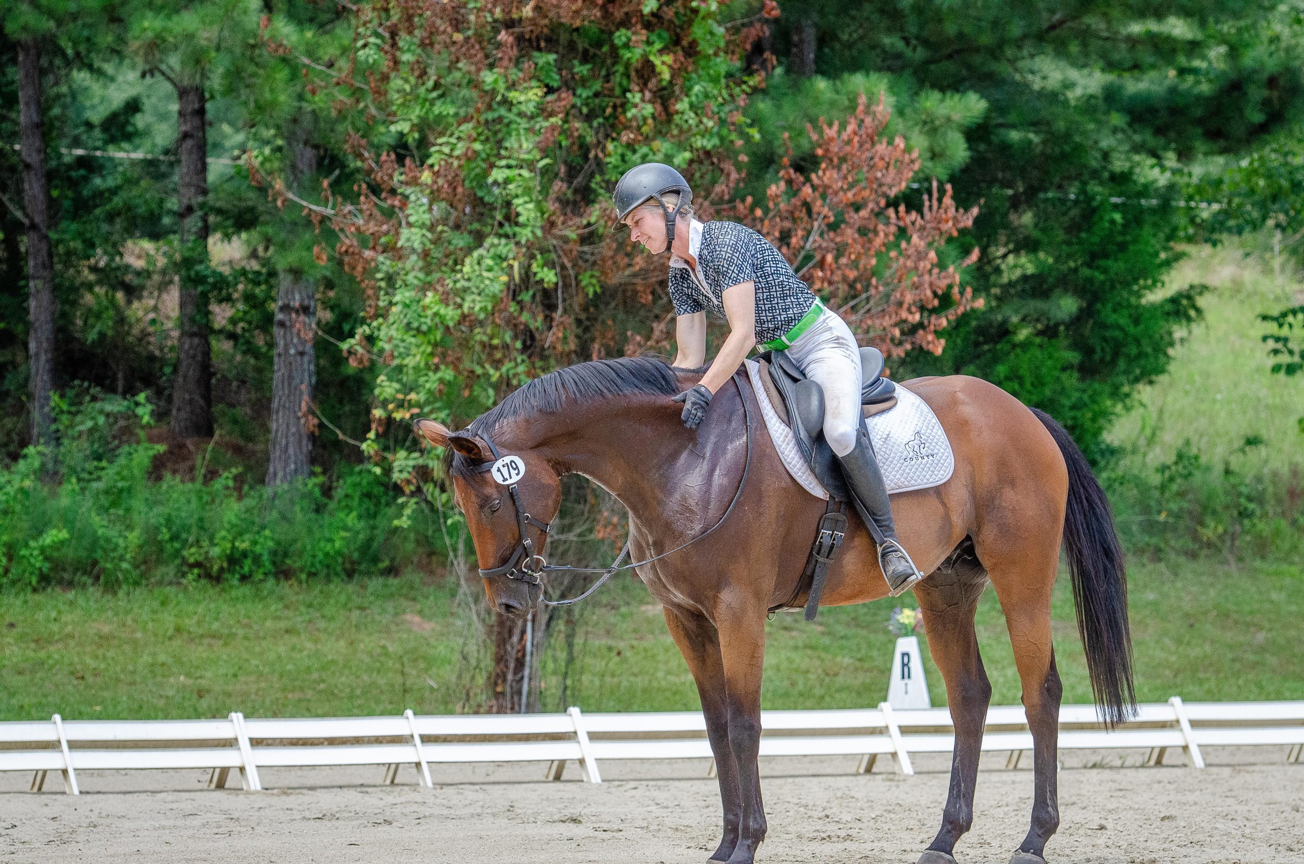 Thoroughbred Logic: Strategic Capitulation Welcome | HORSE NATION