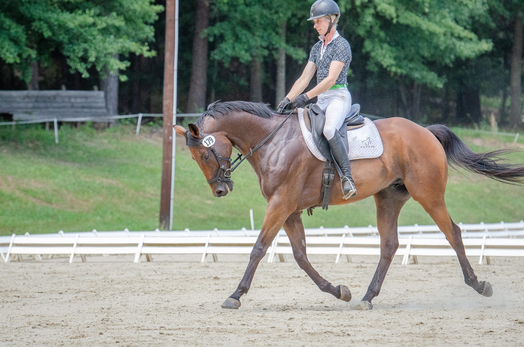 Thoroughbred Logic: Strategic Capitulation Welcome | HORSE NATION