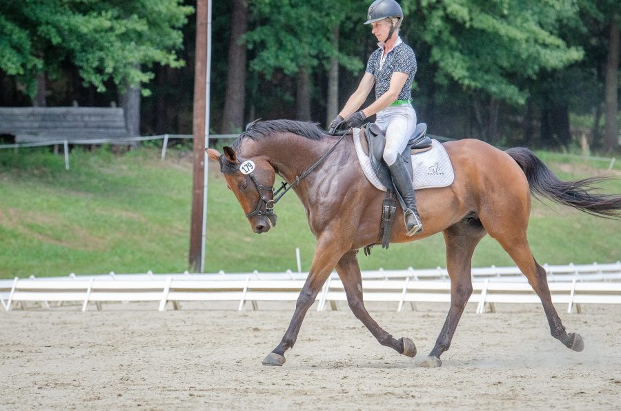 Thoroughbred Logic: Strategic Capitulation Welcome | HORSE NATION