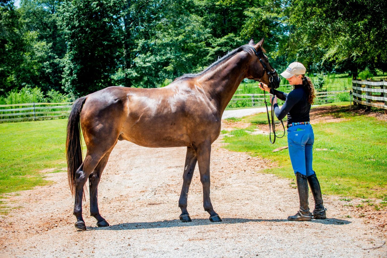 Thoroughbred Logic: Conformation Photo Critique | HORSE NATION