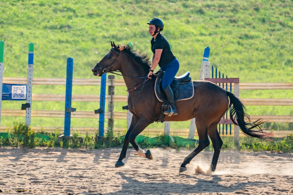 Thoroughbred Logic: Steadier Hands | HORSE NATION