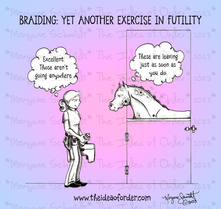 The Idea of Order: Braiding as Character Building | HORSE NATION